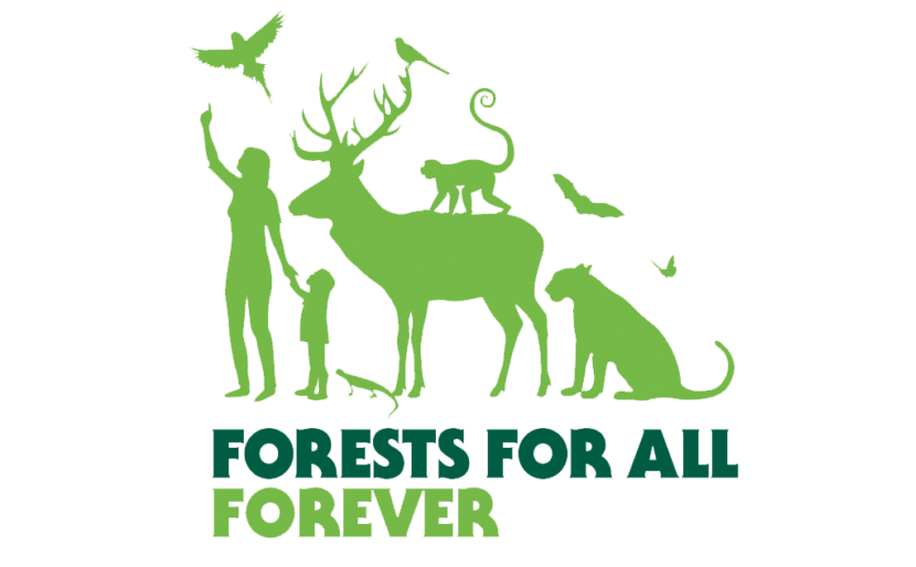 ECO Cards - Same performance as PVC cards, no plastic waste! - BOCA ...